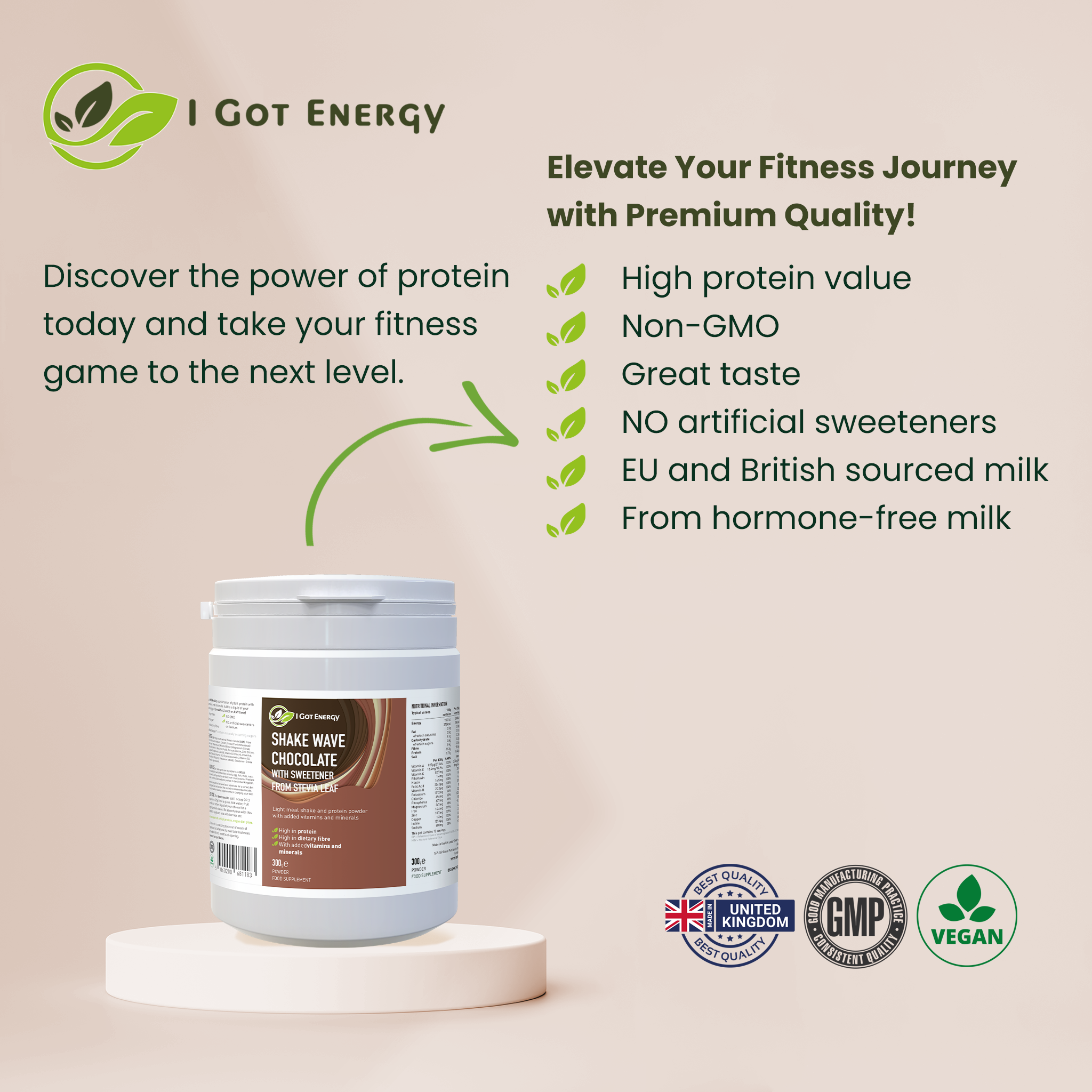 Shake Wave Chocolate | iGotEnergy