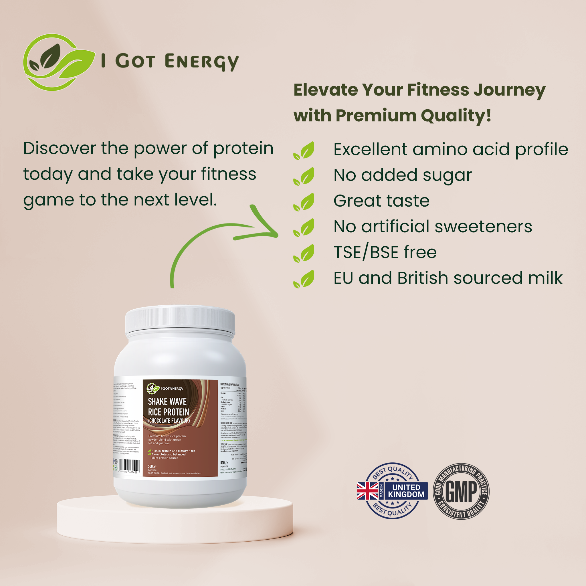 Shake Wave Rice Protein (Chocolate Flavour) – iGotEnergy